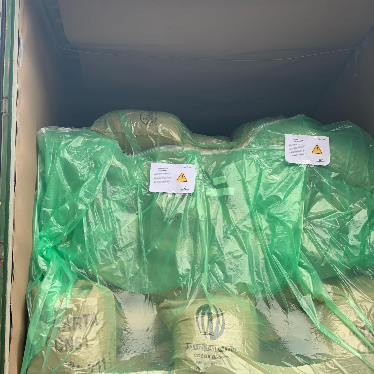 Green 20FT 40FT 100-150 Micron PE Bulk Container Liner for Coco Bean ...