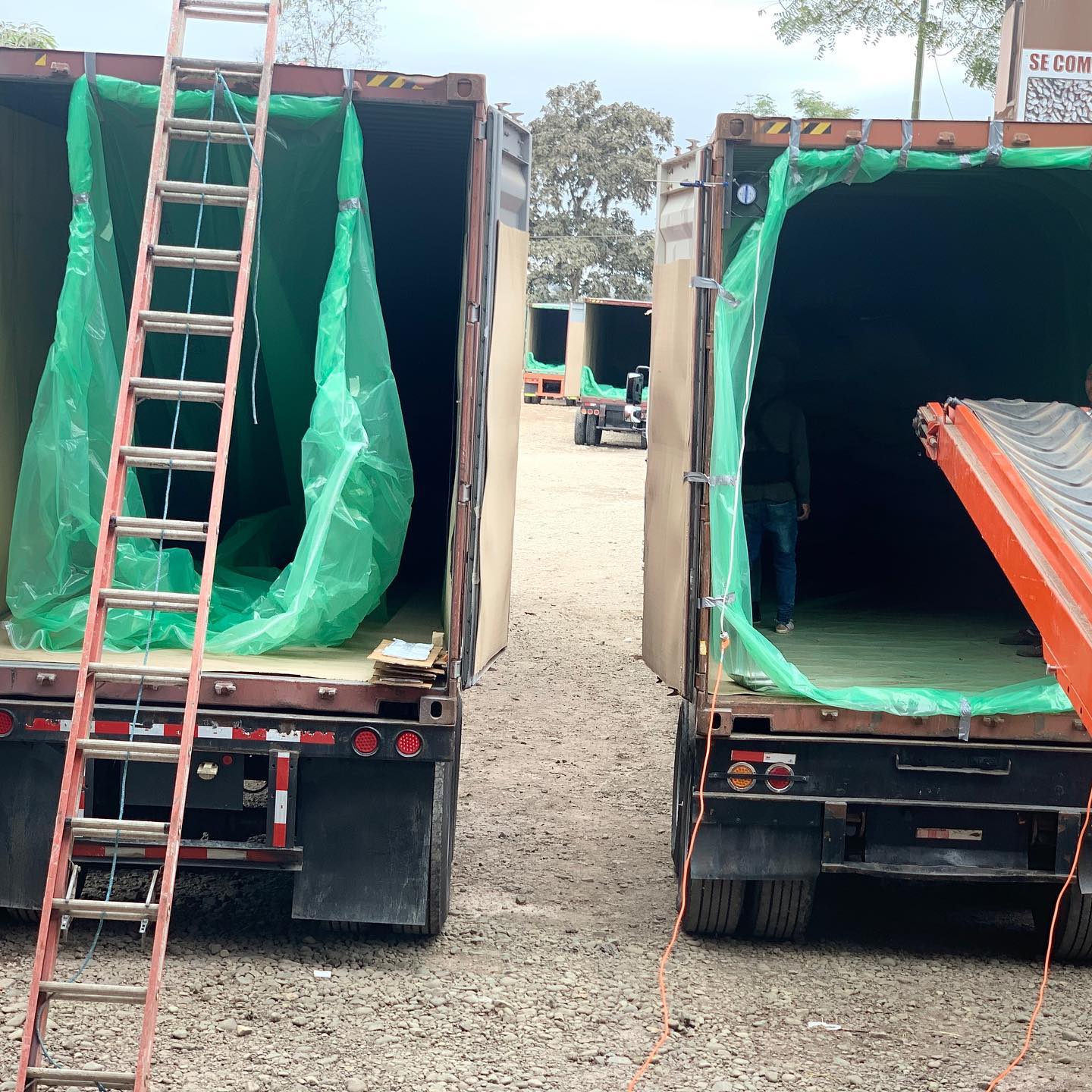 Green 20FT 40FT 100-150 Micron PE Bulk Container Liner for Coco Bean ...